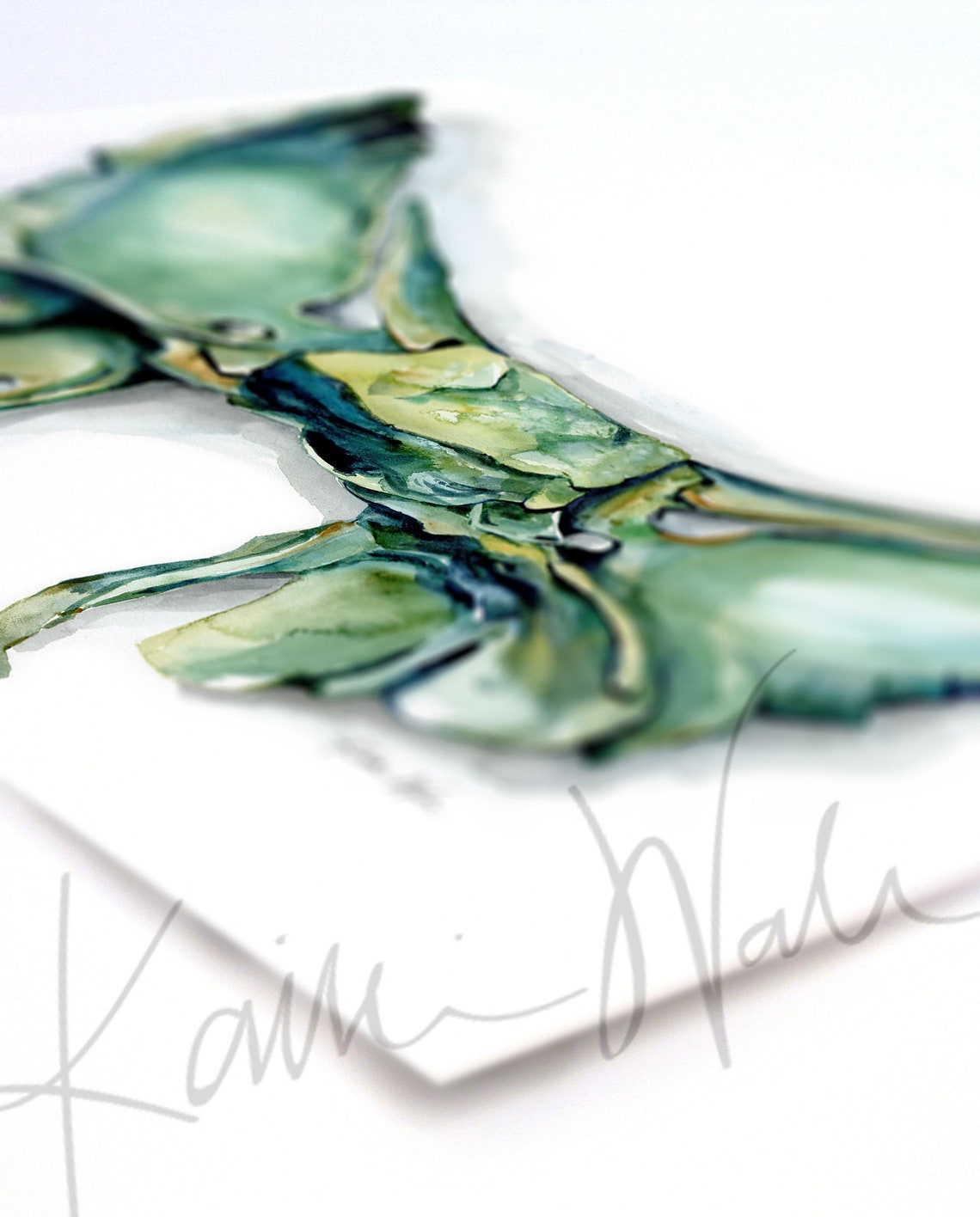 Sphenoid Watercolor Print - Bone Art - Neurology Art - Orthopedic Wall ...