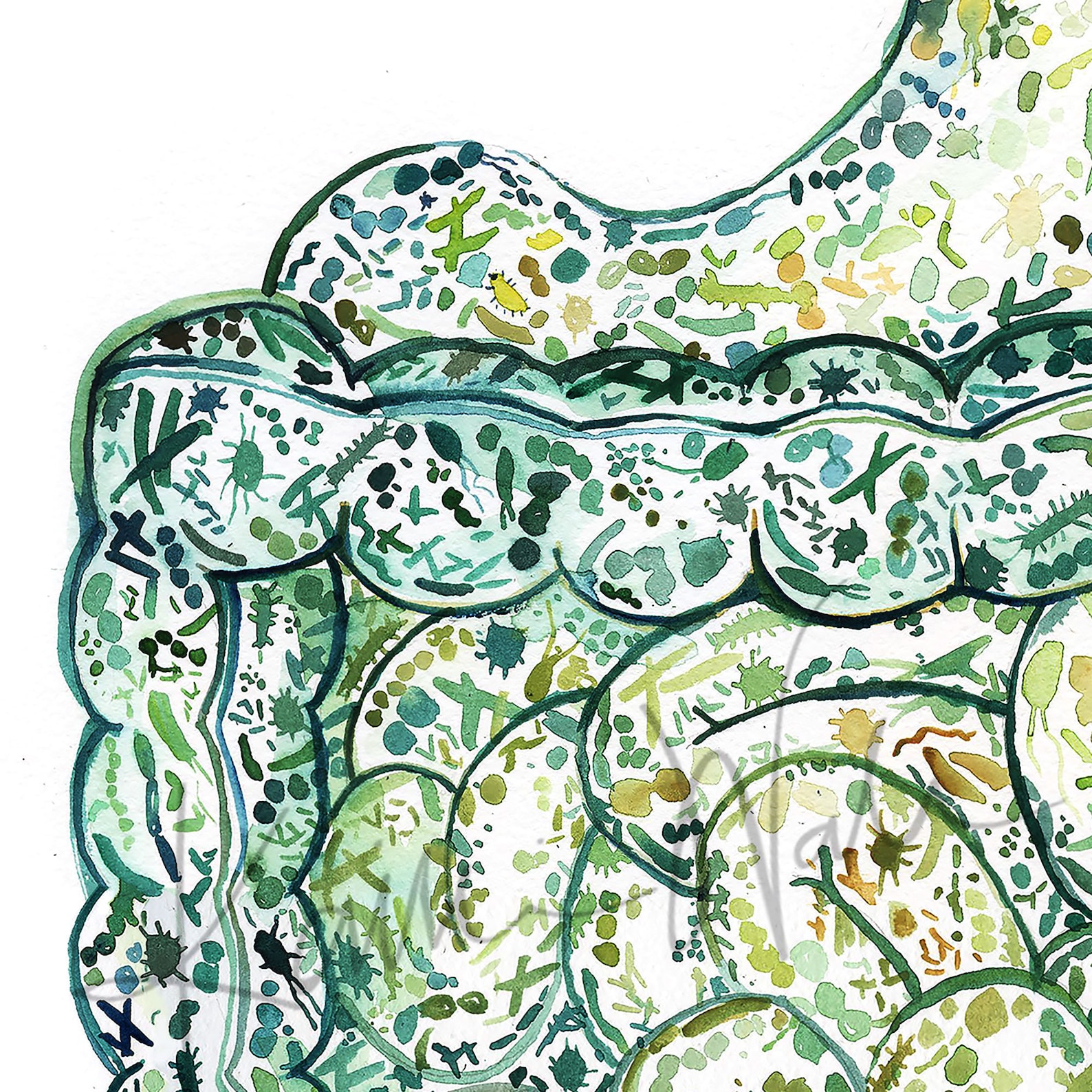 Gut Microbiome Watercolor Print - Gut Health - Gastrointestinal Art ...