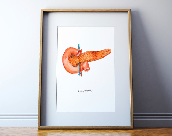 Pancreas Art Print Doctor Poster Gift Medical Art Print Digestive ...
