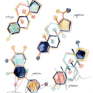 Reproductive Hormones Watercolor Poster - Hormone Art - Fertility Art ...