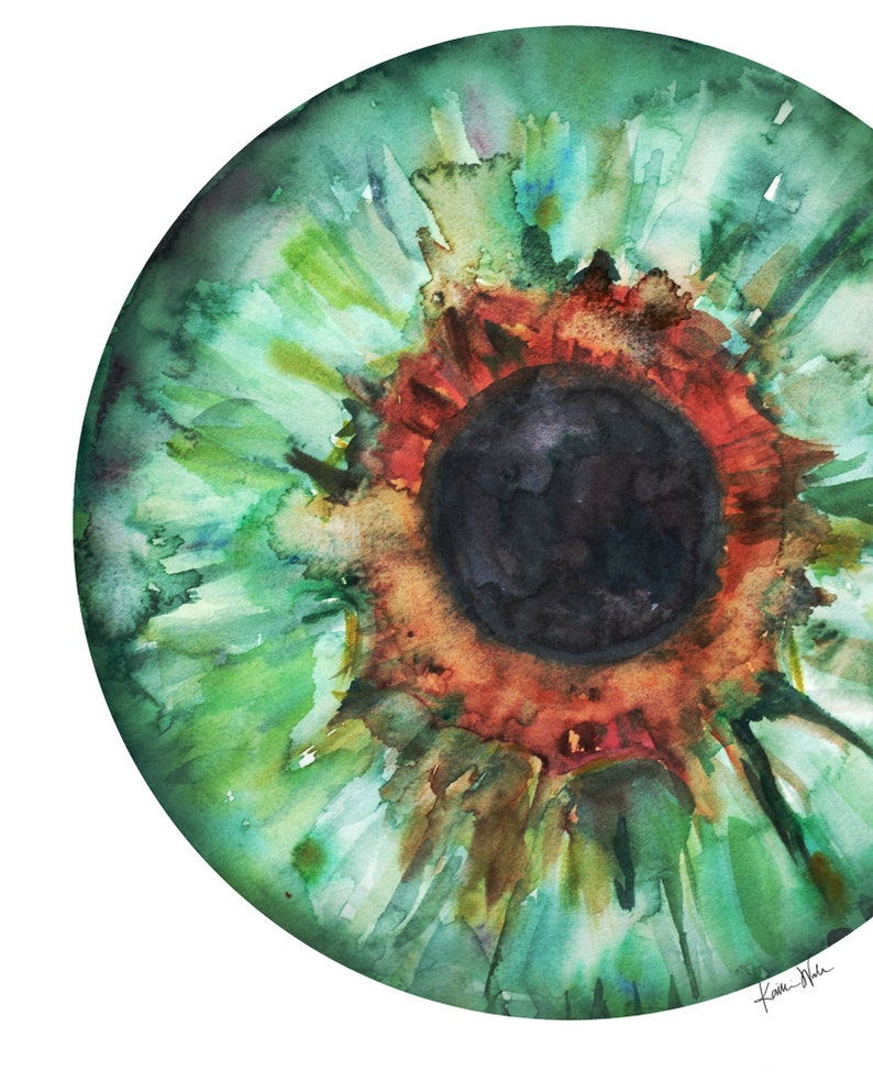 Set of 3 Iris Prints With Blue, Green and Brown- Eye Art - Eye Anatomy ...