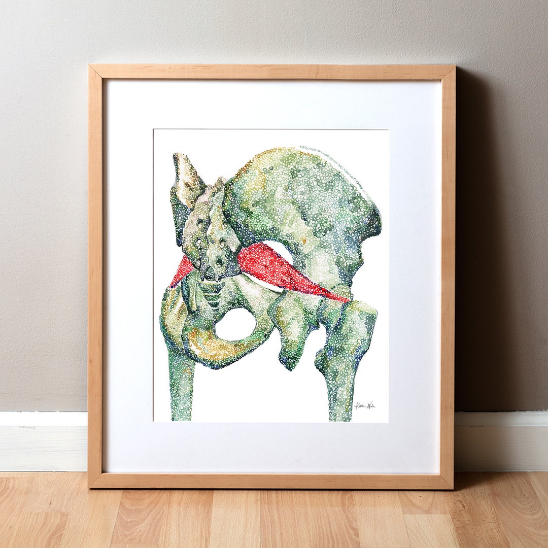 Piriformis Watercolor Print - Muscle Art - Gift for PT - Abstract ...