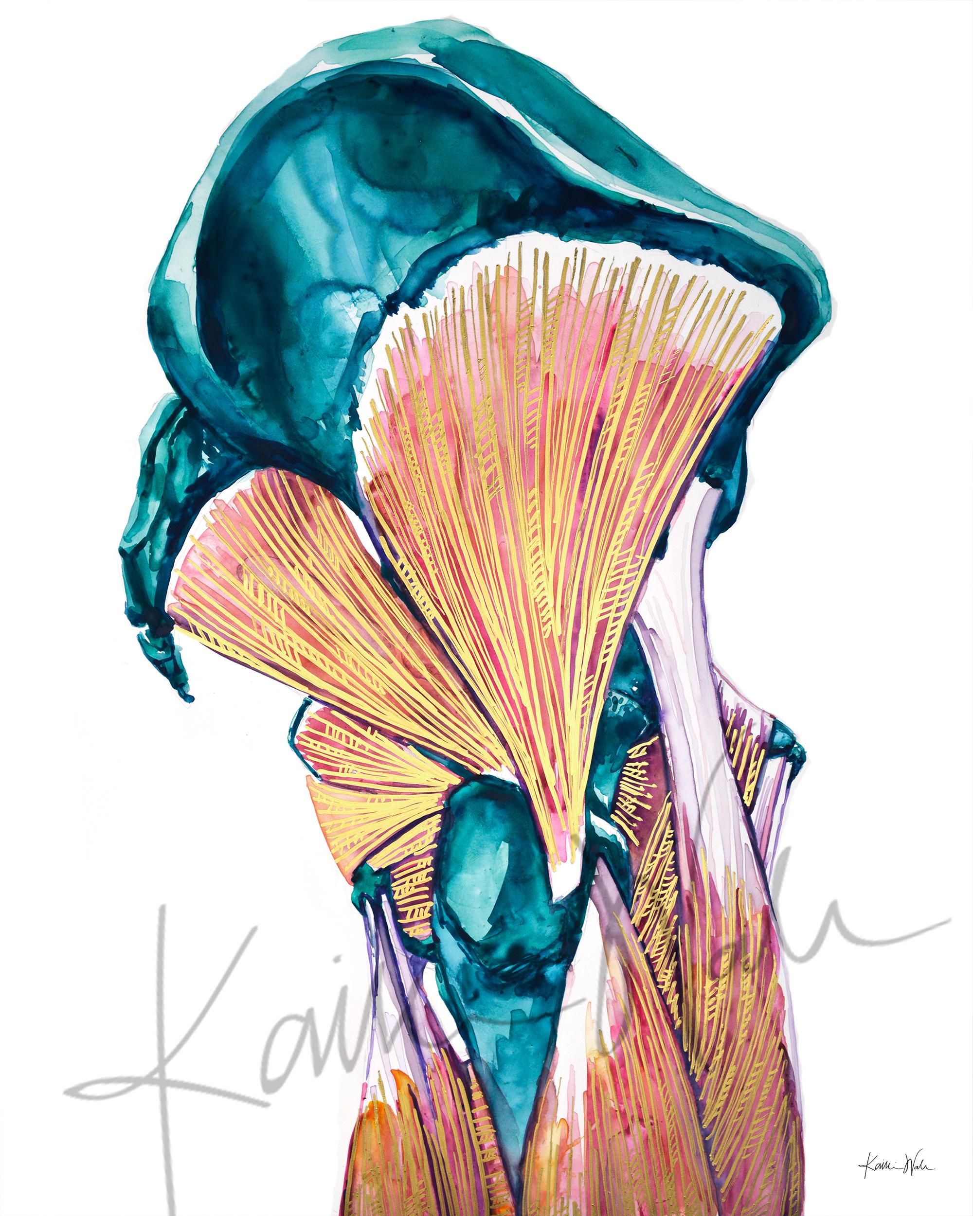 Gilded Hip Joint Watercolor Print - Muscle Painting - Labeled Muscle ...