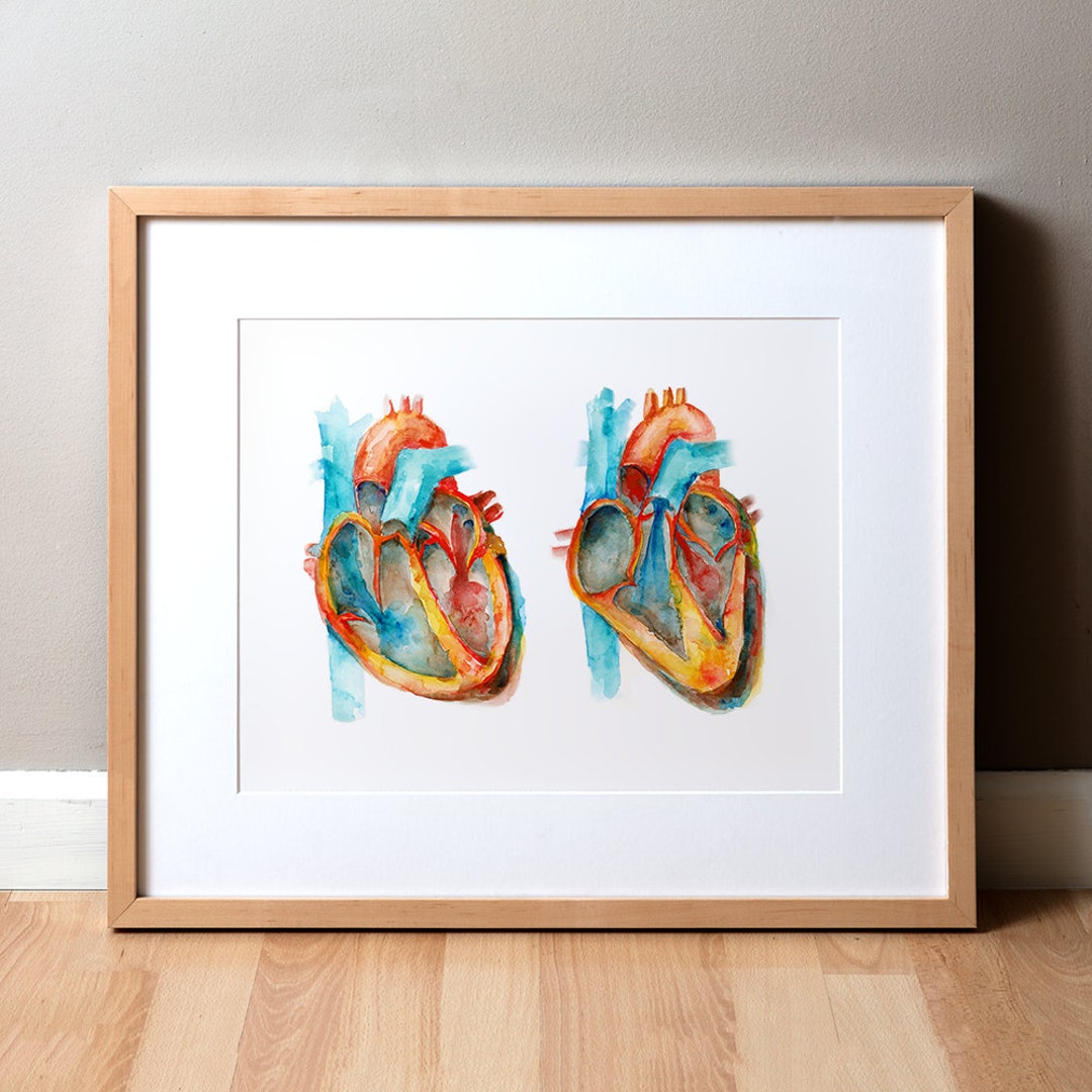 Diastole and Systole Print - Etsy