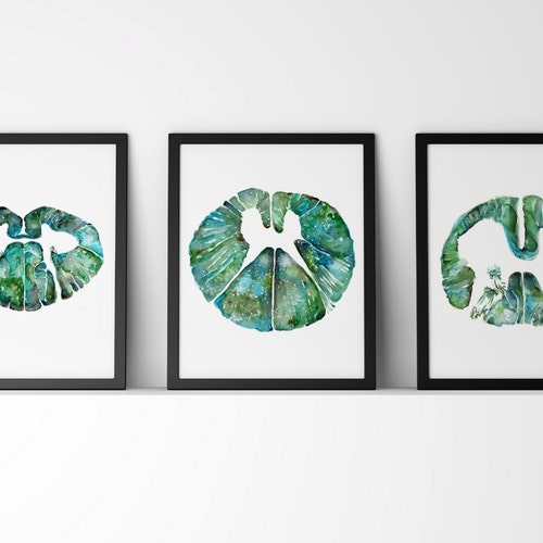 Blue Spine Print Series of 3 Anatomy Art Set 3 Watercolor - Etsy