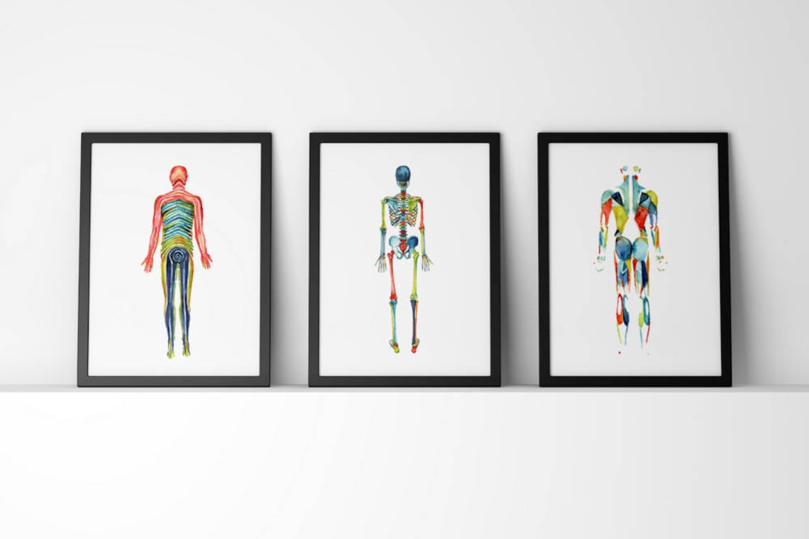Body Systems 3-piece Watercolor Print Set Anatomy Art Set - Etsy