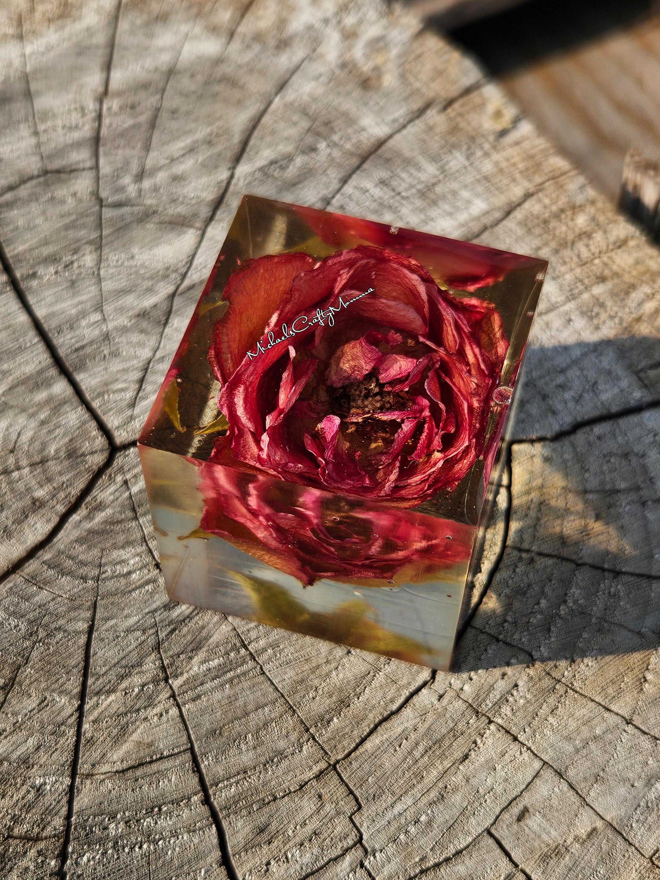 Mini Rose Cube. Peach Colored Rose. 1 Square Inch Cube. Real Rose - Etsy