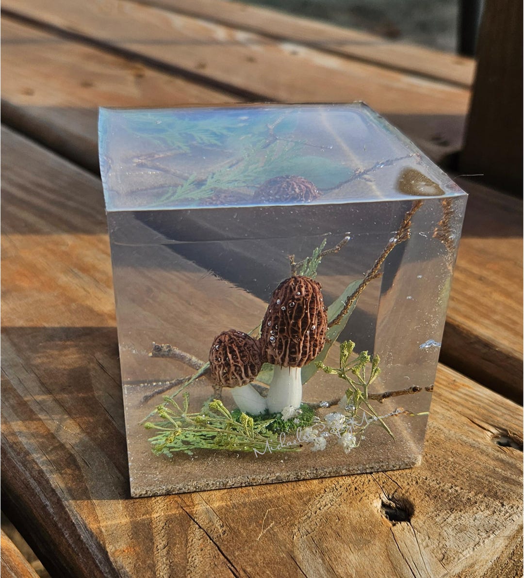 Morel Mushroom Cube With Evergreen and Baby's Breath NOT Real Mushrooms ...