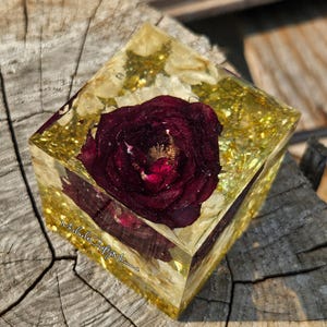 Red Rose and Carnation Cube Made With Real Flowers. Set in Resin - Etsy