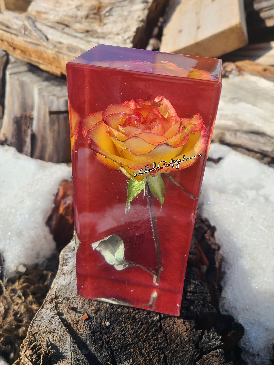 Single Stem Fire Rose With Shiraz Background STUNNING the Perfect Gift ...