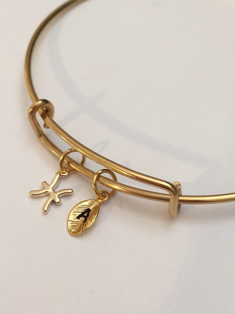 Pisces bangle Pisces charm bracelet expandable bangle charm | Etsy