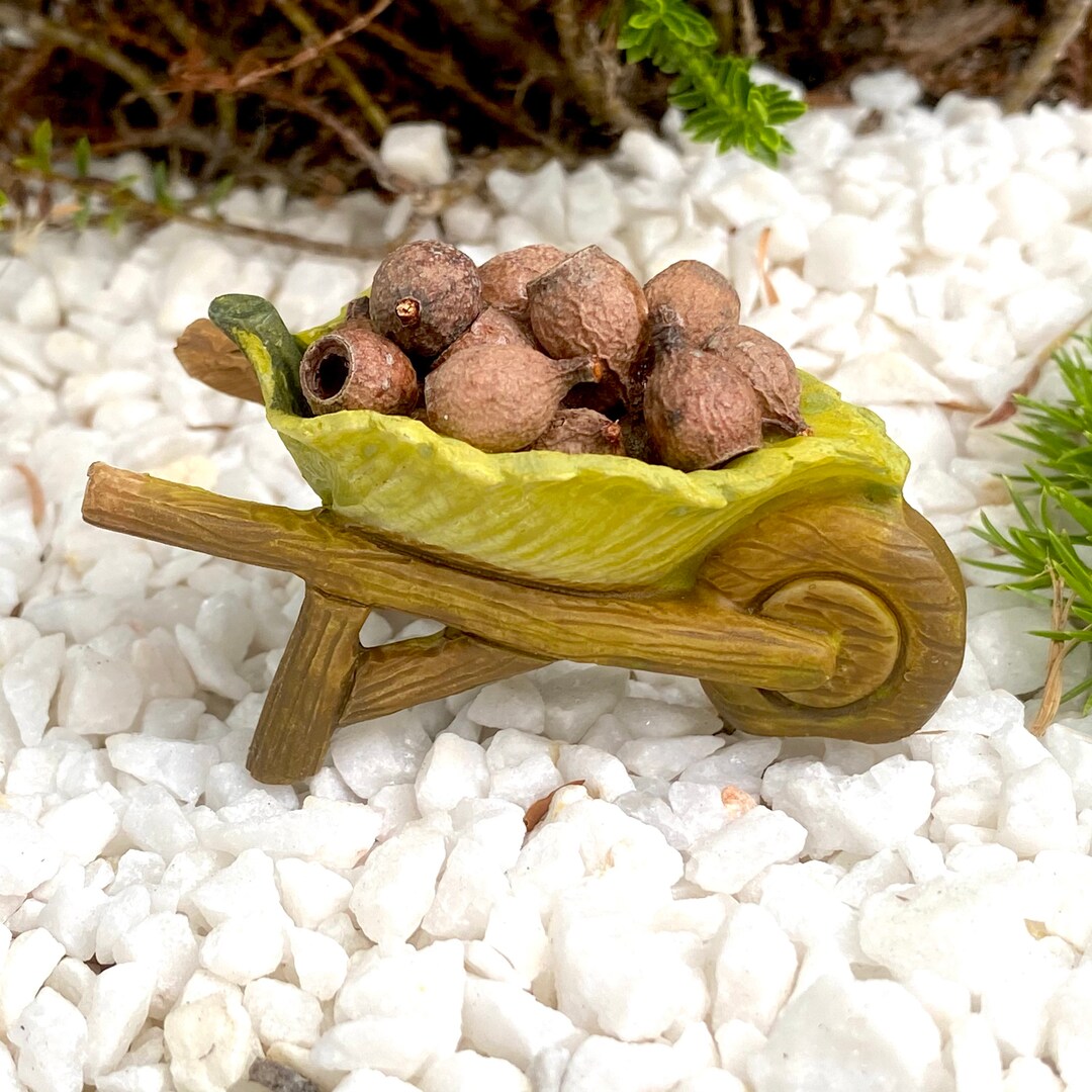 Leaf Wheelbarrow With Gum Nuts - Etsy
