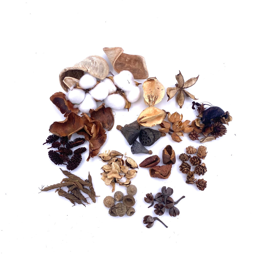 Mega Seed Pack and Nut Pack natural - Etsy Australia