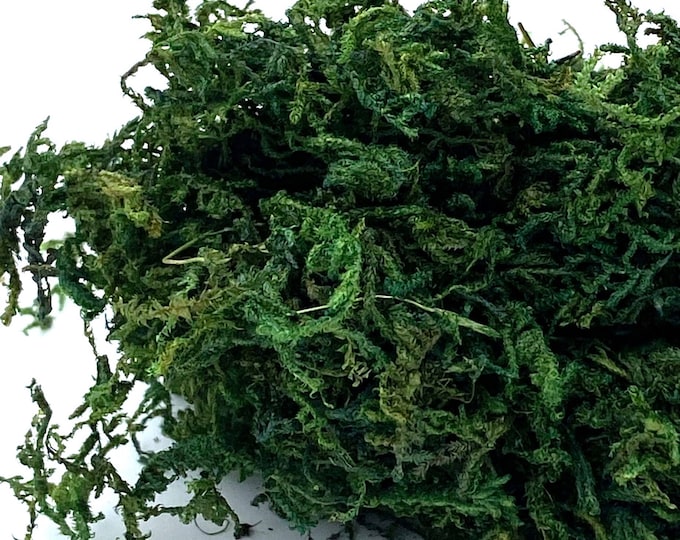 Fairy Gardens Natural Freeze Dried Loose Moss - Etsy