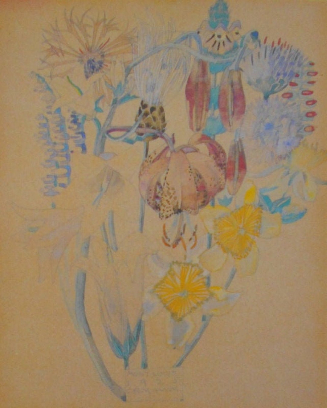 Charles Rennie Mackintosh - MONT LOUIS - FLOWER Study - Print in 12 X ...