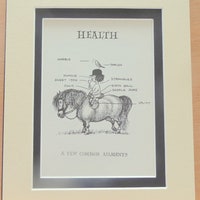 Original Thelwell Comical Dog Print 1964 Vintage Cartoon Art - Etsy