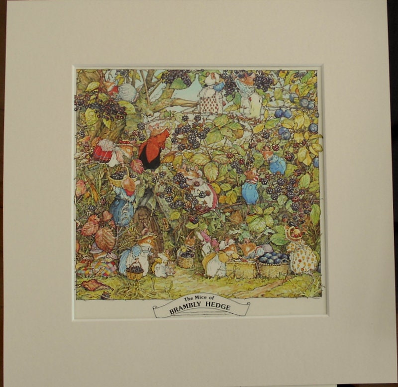 The MICE of BRAMBLY HEDGE - Brambly Hedge Mounted Print 12" X 12" Ivory ...