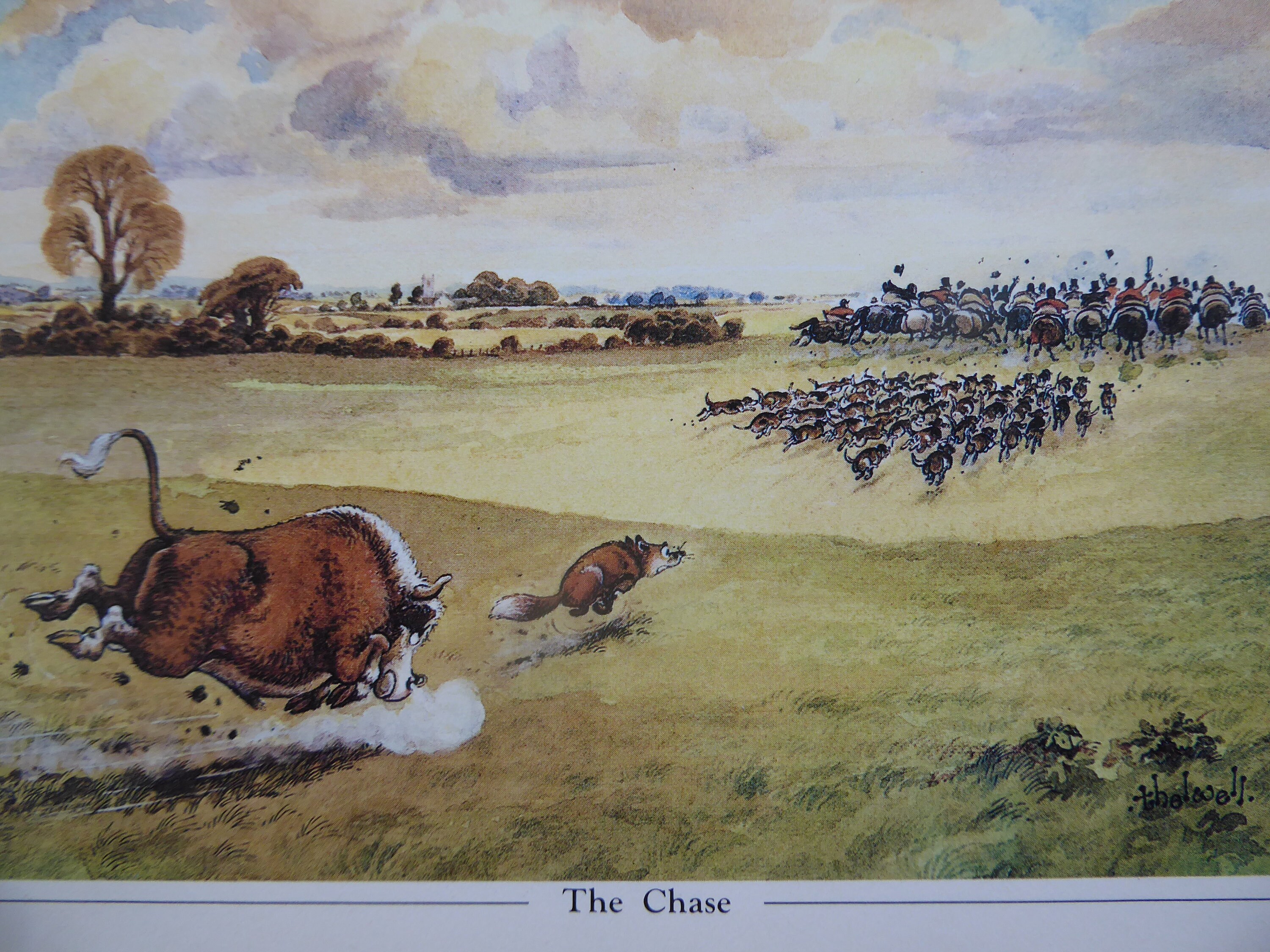 Four Thelwell Hunting Prints in Frames - Etsy UK