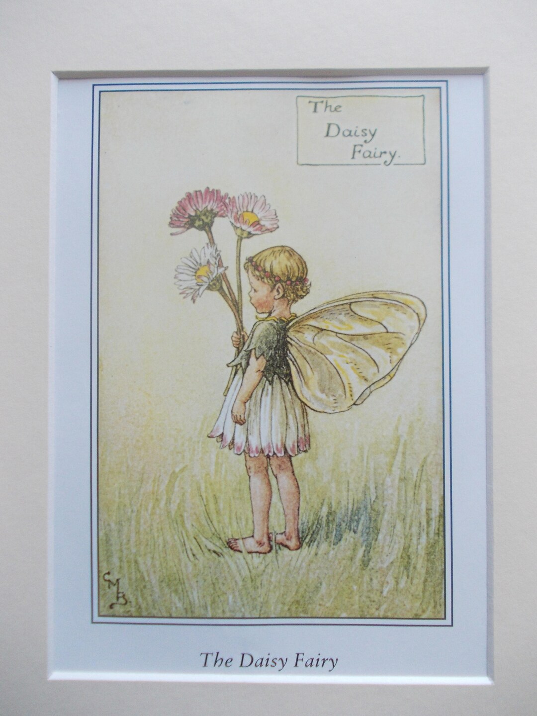 DAISY Flower Fairy, Cecily Mary Barker in 10in X 8in Ivory Mount 8in X ...