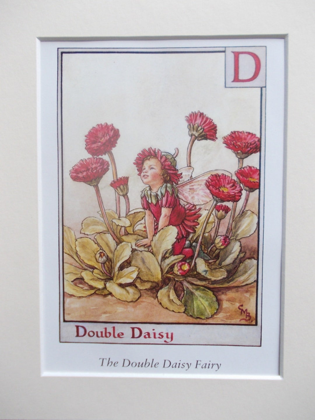 DOUBLE DAISY Flower Fairy / Fairies Cecily Mary Barker in 10in - Etsy