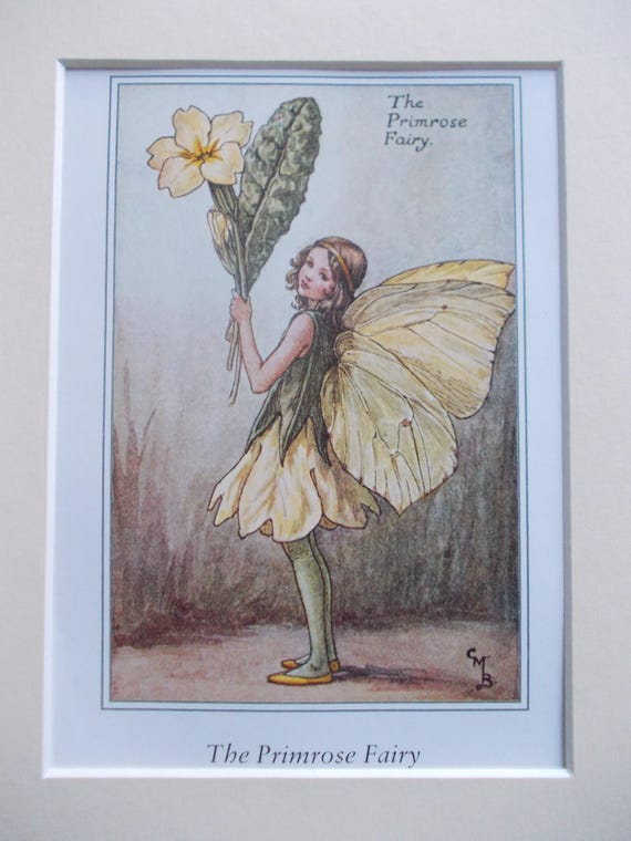 PRIMROSE Flower Fairy Cecily Mary Barker in 10in X 8in Ivory - Etsy