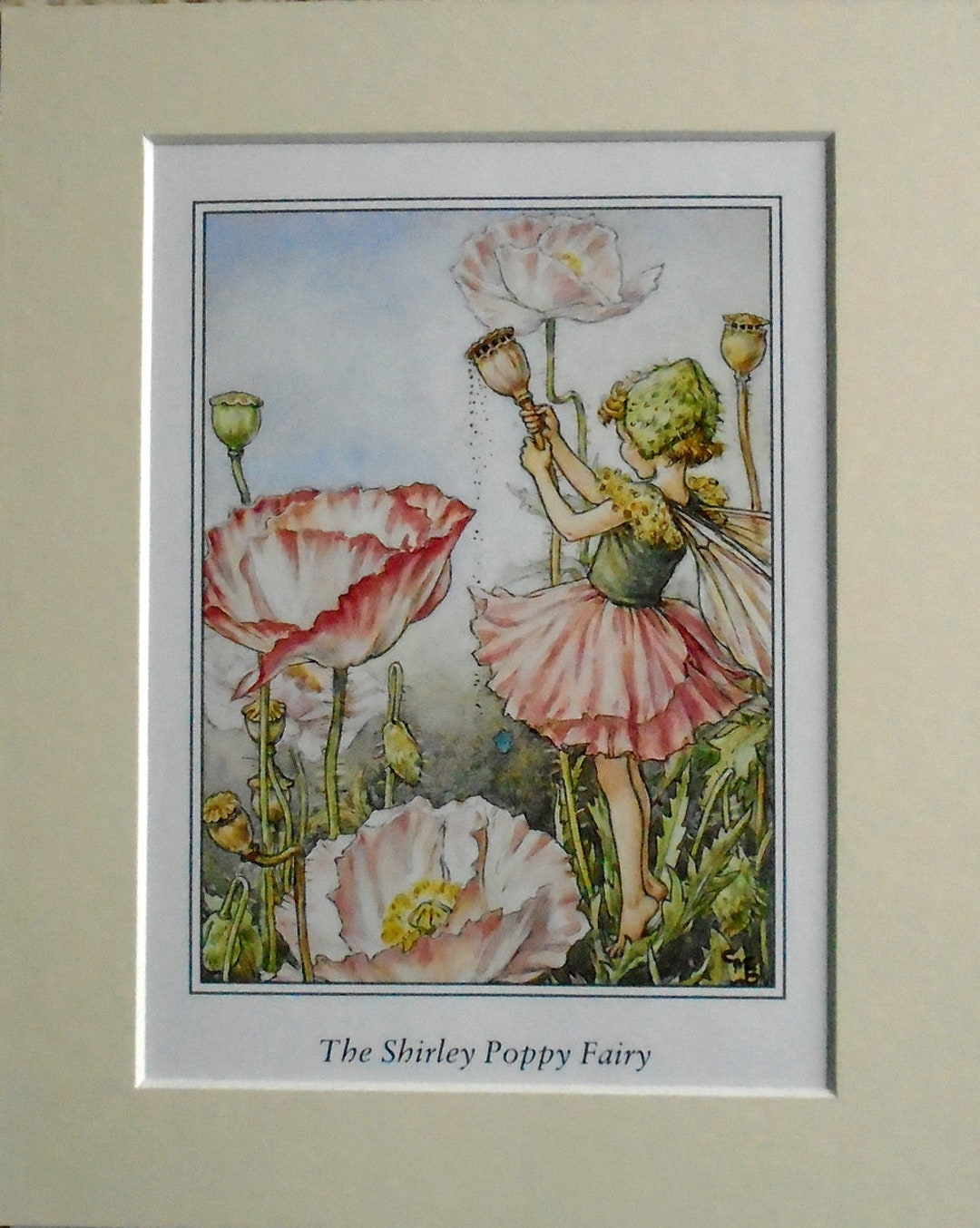 SHIRLEY POPPY Flower Fairy, Cecily Mary Barker in 10in X 8in Ivory ...