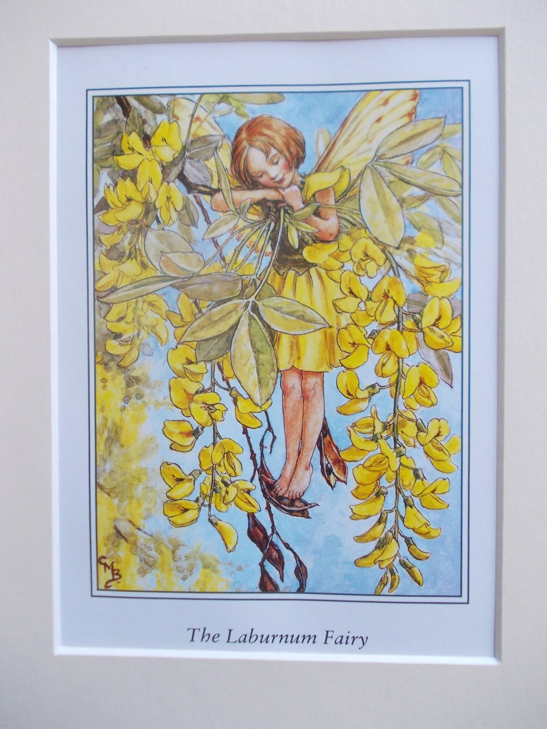 LABURNUM Flower Fairy Cecily Mary Barker in 10in X 8in Ivory - Etsy