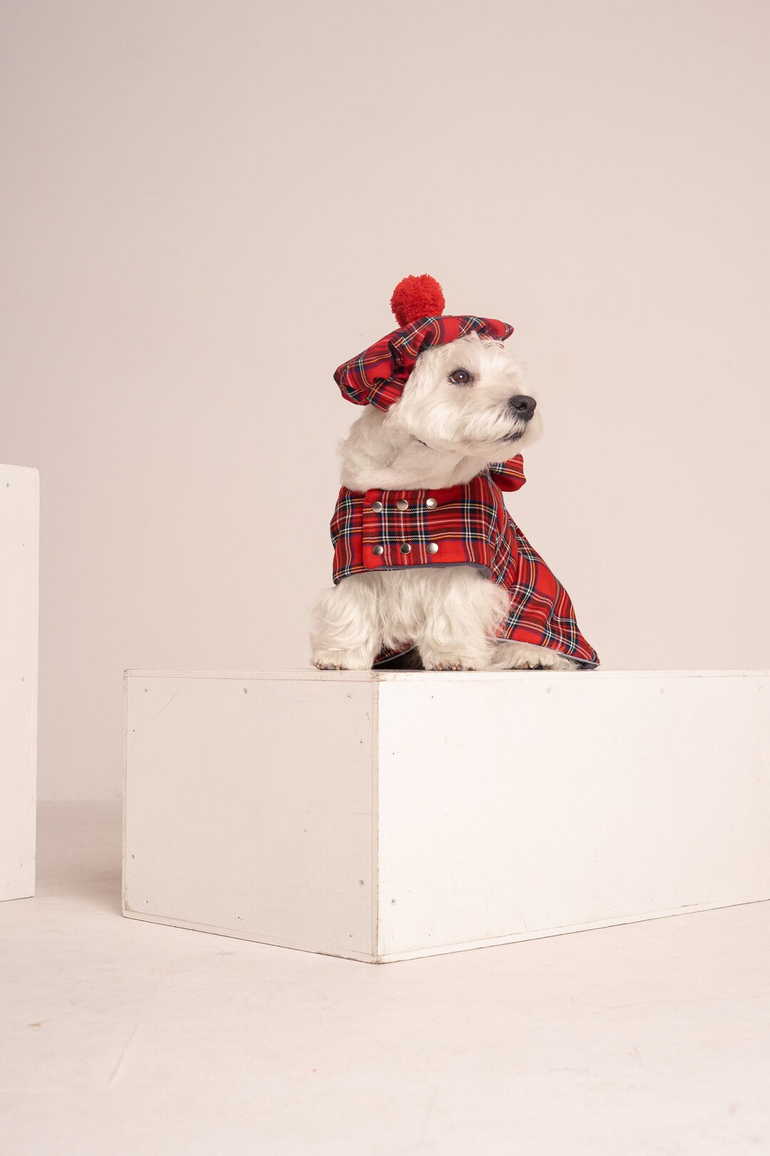 1 Set: DOG Royal Stewart Plaid COATDRESS and CAP. Dog Scottish Hat ...
