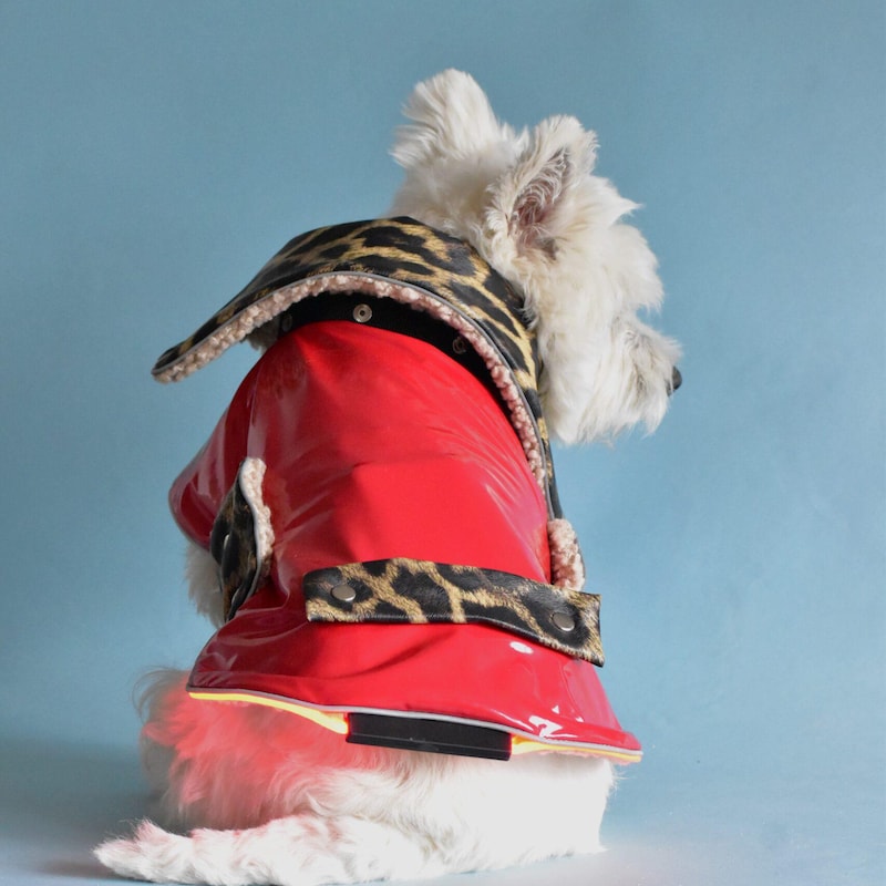 BestDogRaincoats - Etsy