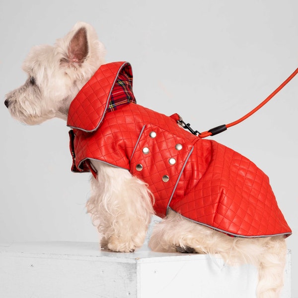 Red Dog Coat - Etsy