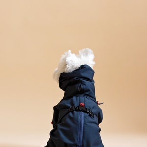 Cockapoo Waterproof Dog Overall: Custom Reflective Raincoat With Snood ...