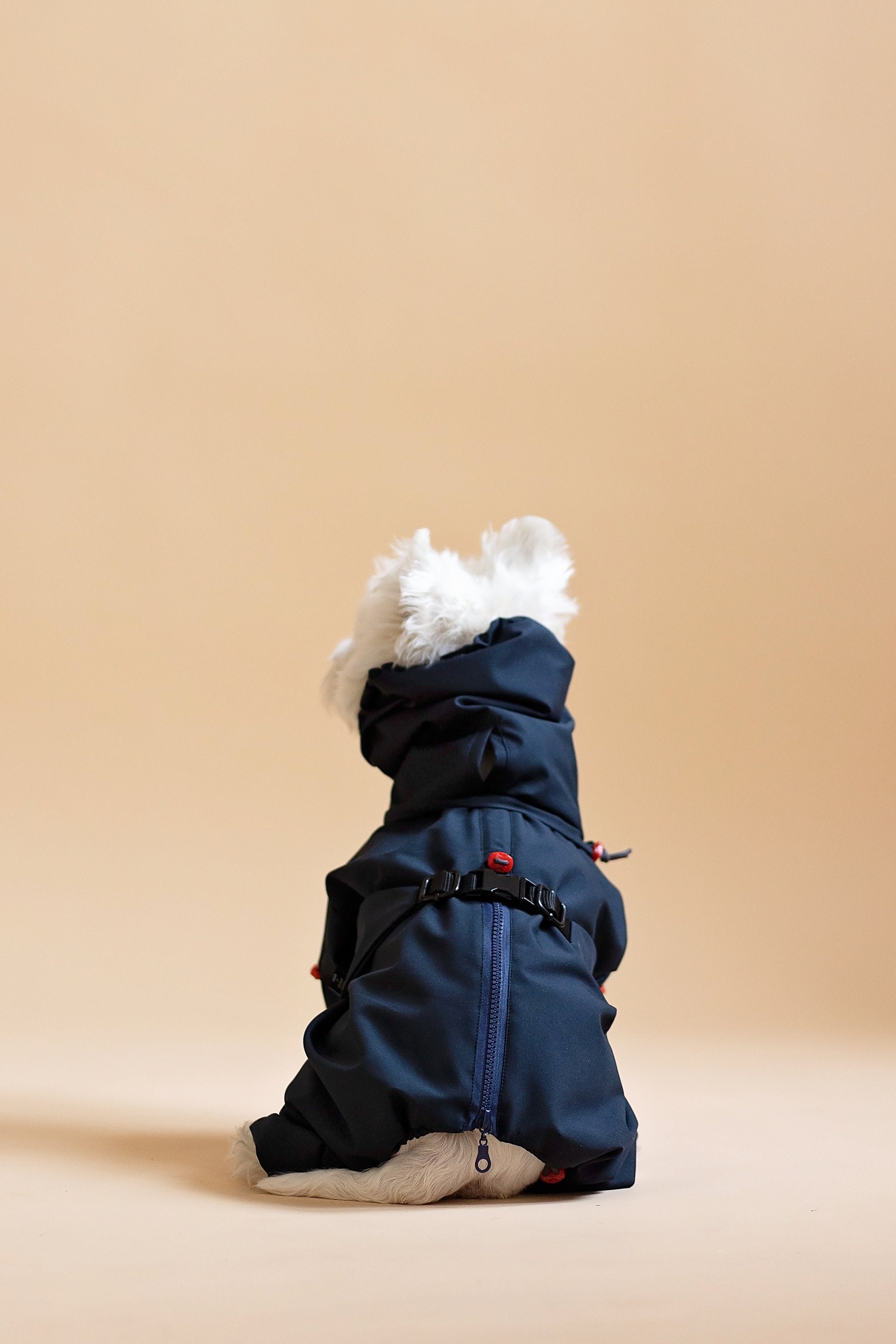 Cockapoo Waterproof Dog Overall: Custom Reflective Raincoat With Snood ...