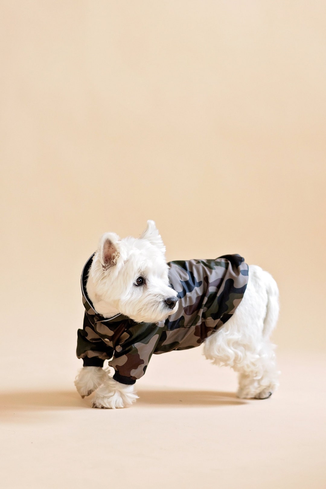 Handmade Camouflage Dog Jacket With Hood and Arms - Etsy