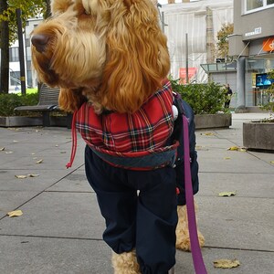 Cockapoo Waterproof Dog Overall: Custom Reflective Raincoat With Snood ...