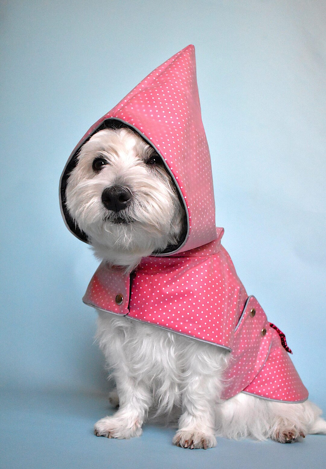 Waterproof Dog Raincoat: Dwarf Hood, Reflective, Metal Studs - Etsy