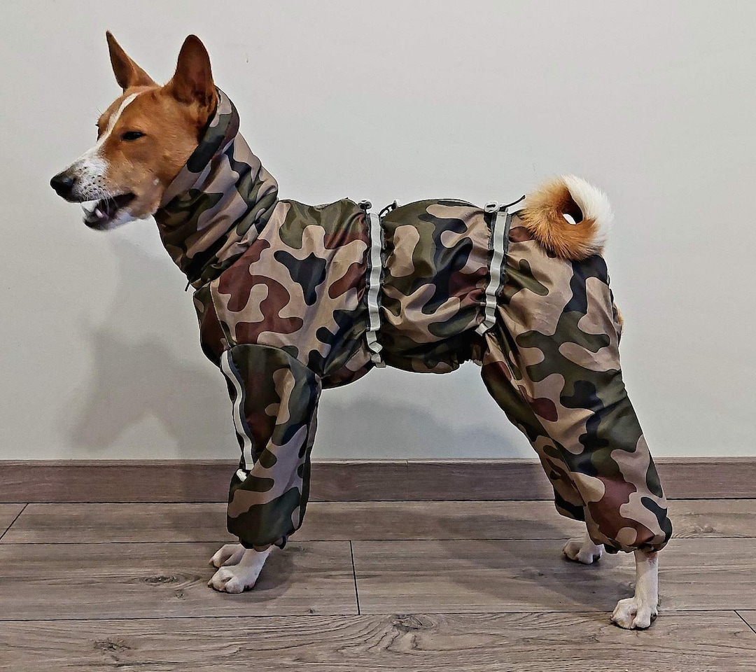 Camouflage Basenji Raincoat Overall: Custom Fit, Light Reflects - Etsy
