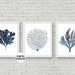 8 X 10 Navy Sea Coral / Seaweed Printable Wall Art Set of 3 ...