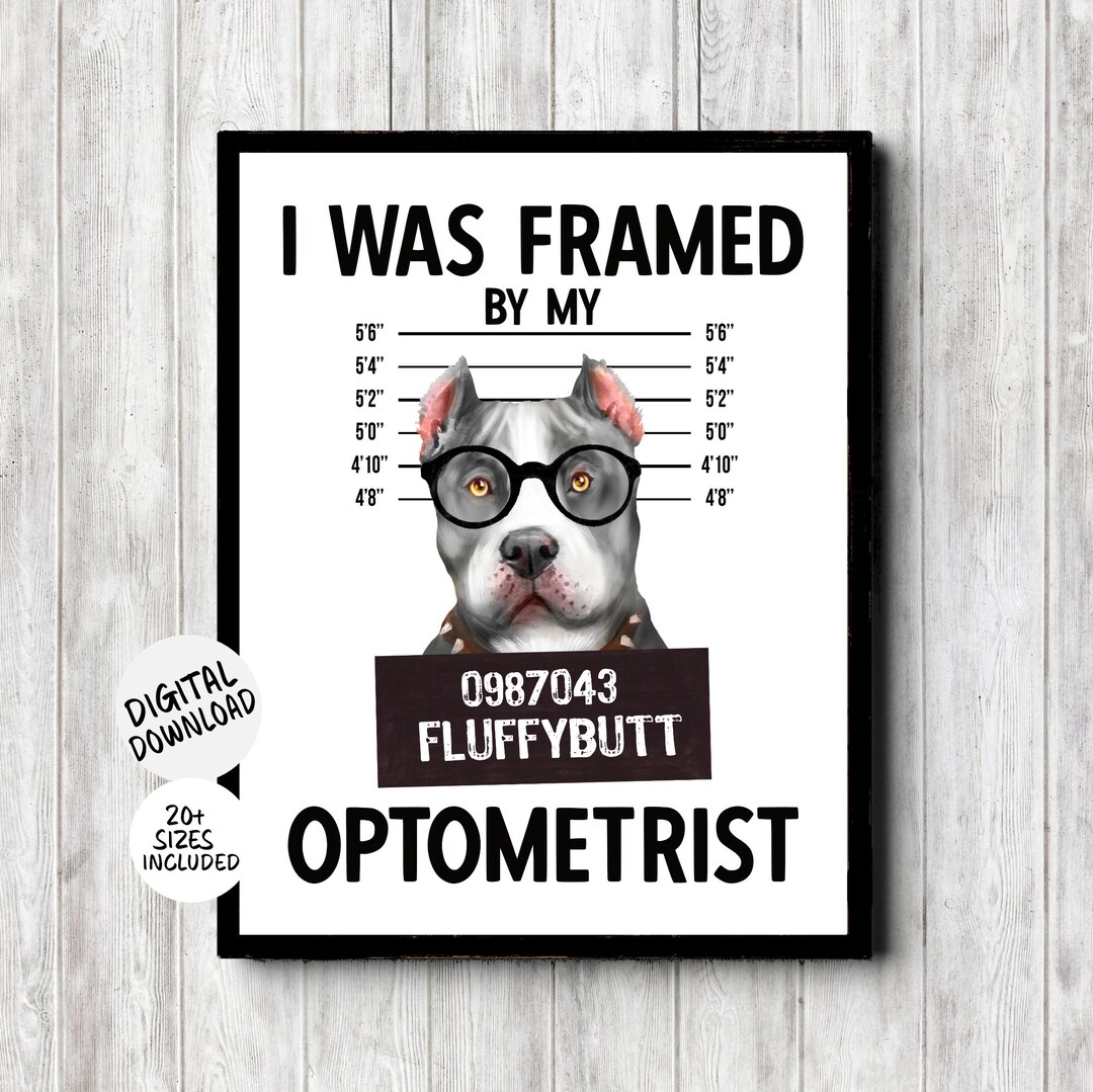 Gray American Bully Wearing Eyeglasses Dog Mugshot, I Was Framed by My ...