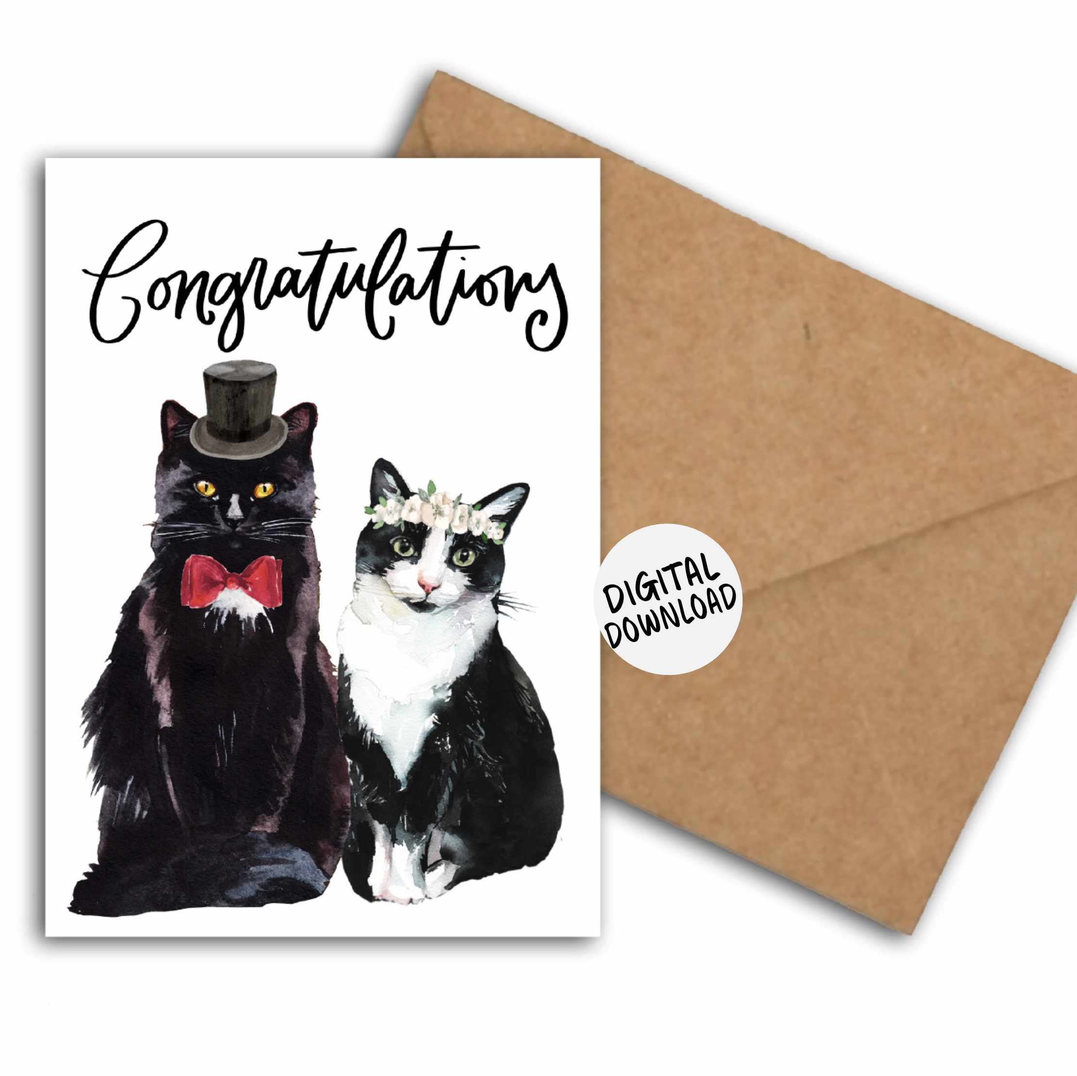 Cats Congratulations