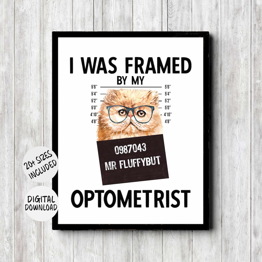 Optometry Office Wall Decor With A Persian Cat Wearing Eyeglasses - I ...