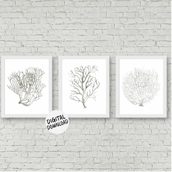 Sea Fan - Etsy