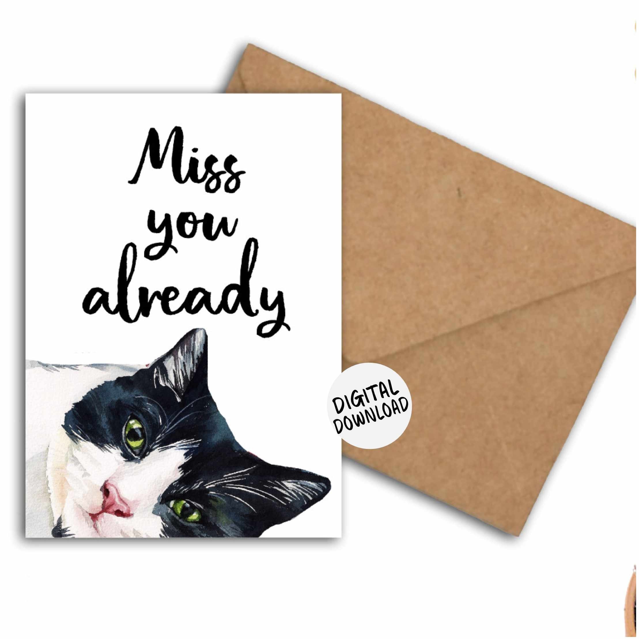 Cat Miss You Already