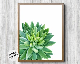 Printable Succulent Poster Watercolor Plant Print | Etsy