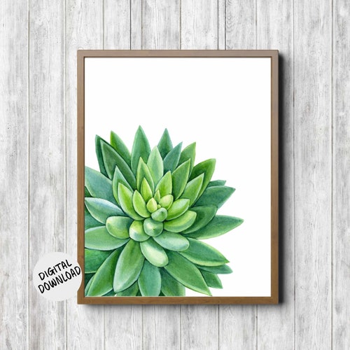 Succulent Printable Nursery / Office Wall Art Modern - Etsy