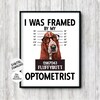 Optometry Decor With Eyeglass Art, I Was Framed Pun Quote Print for Eye ...