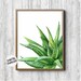 Aloe Vera Succulent Printable Wall Decor Office /nursery - Etsy