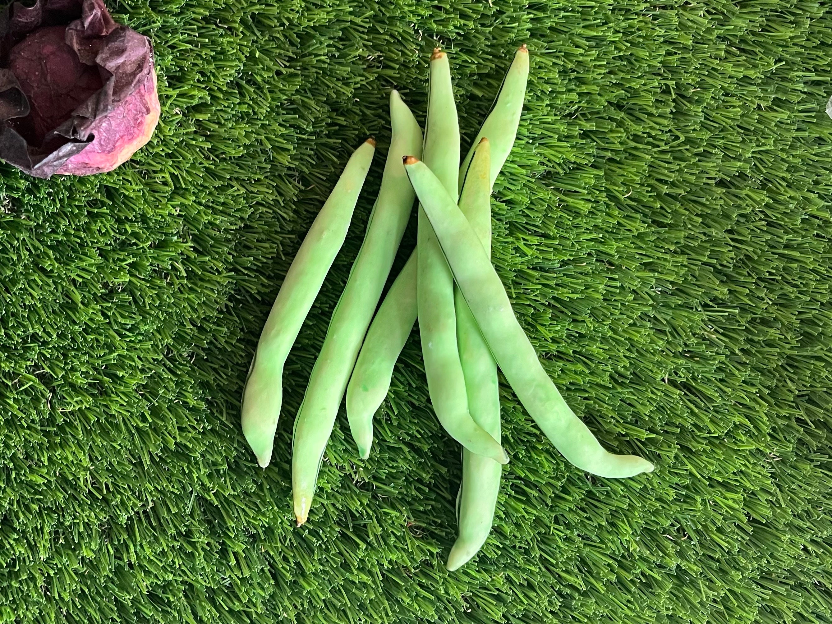 Vintage Artificial Runner Green Beans - Etsy