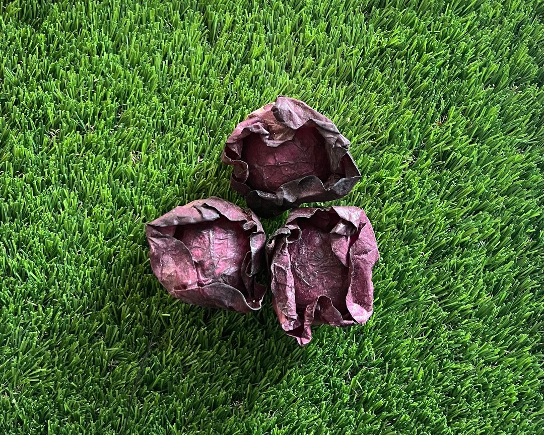 Vintage Artificial Red Lettuce Head Trio - Etsy