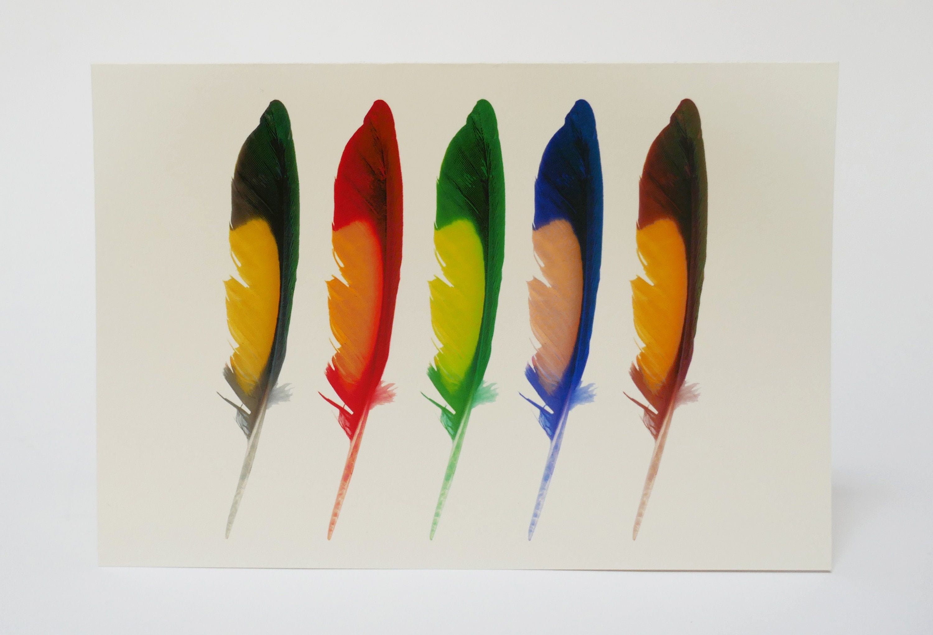 Multicolour Feathers Greeting Card Feather Palette - Etsy UK