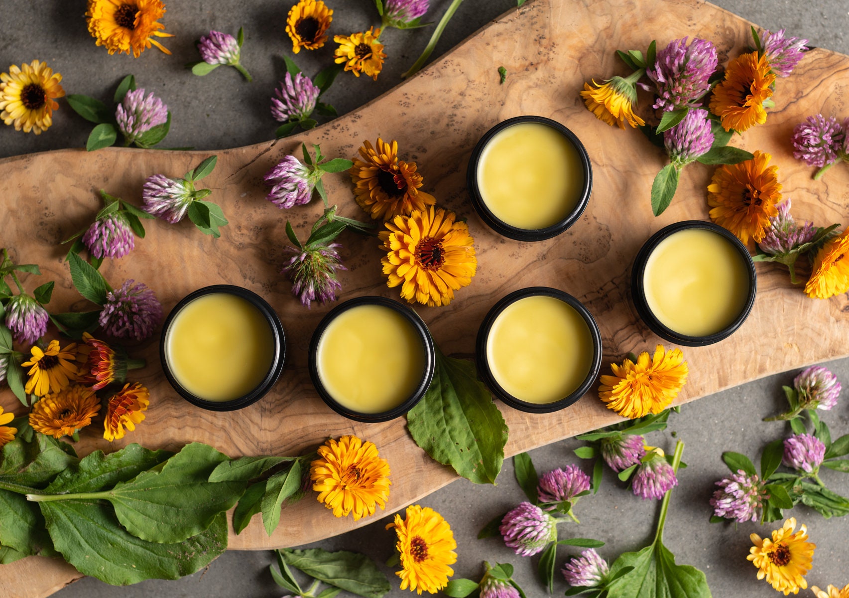 Herbal Salves - Etsy